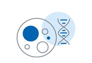 Biosimilars - Products | STADA