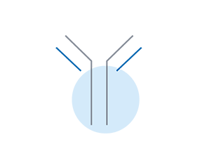 Biosimilars - Products | STADA